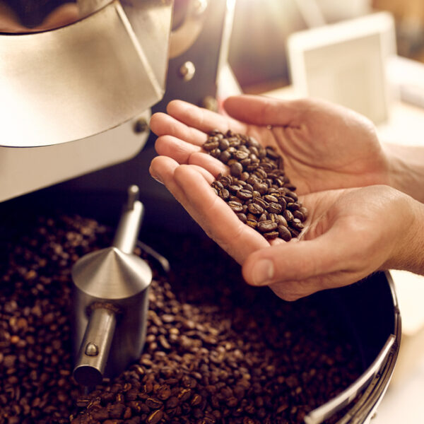 Cafe Domino Coffee – The true taste of coffee.